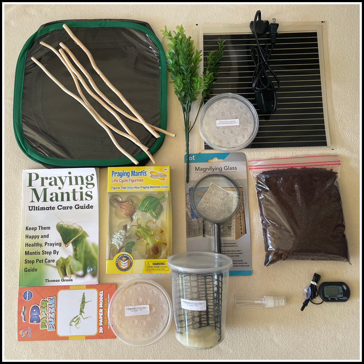 Praying Mantis Kit - Ultimate – The Fruit Fly Shop